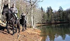 Come diventare Guardia forestale: formazione, concorsi, carriera